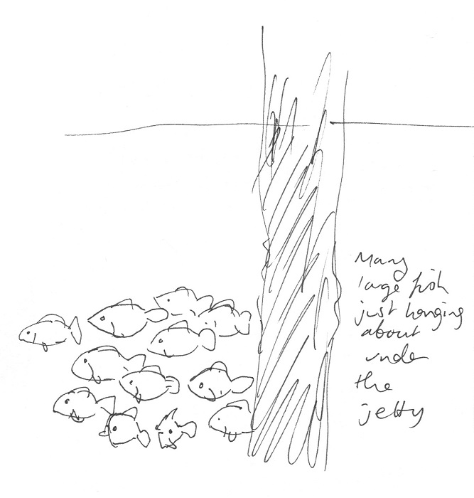 Jetty fish | Paperbark Writer