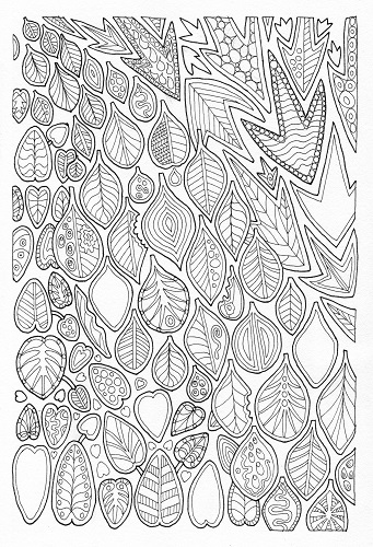 Bimblebox Wonderland colouring book | Paperbark Writer