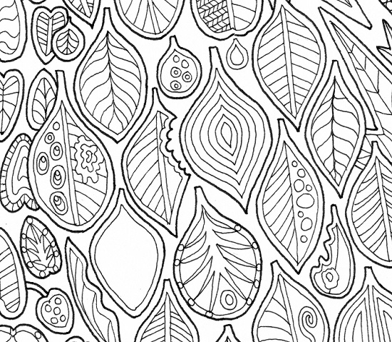 Leaf Shape Detail Paperbark Writer
