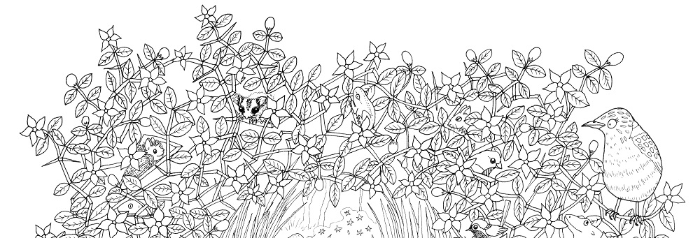 Spotted bowerbird small | Paperbark Writer