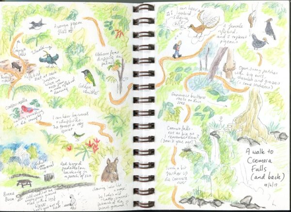 Nature Journaling | Paperbark Writer