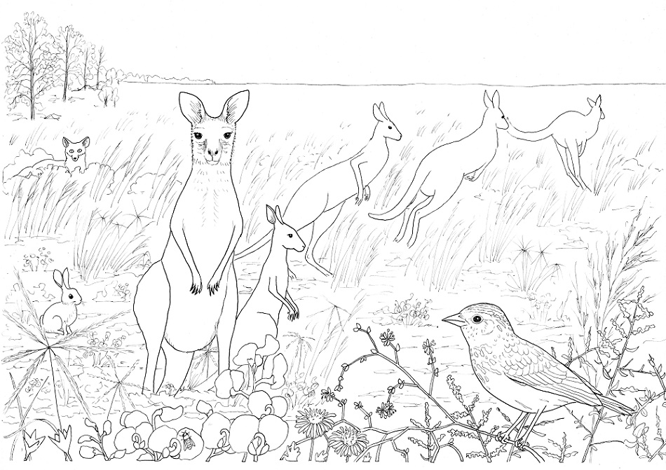 How to draw a grassland, Part two: Ecology in pictures | Paperbark Writer