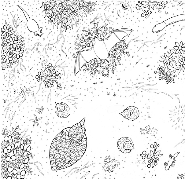 How to draw a grassland, Part two: Ecology in pictures | Paperbark Writer