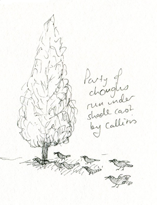 How to draw a grassland – Part One | Paperbark Writer