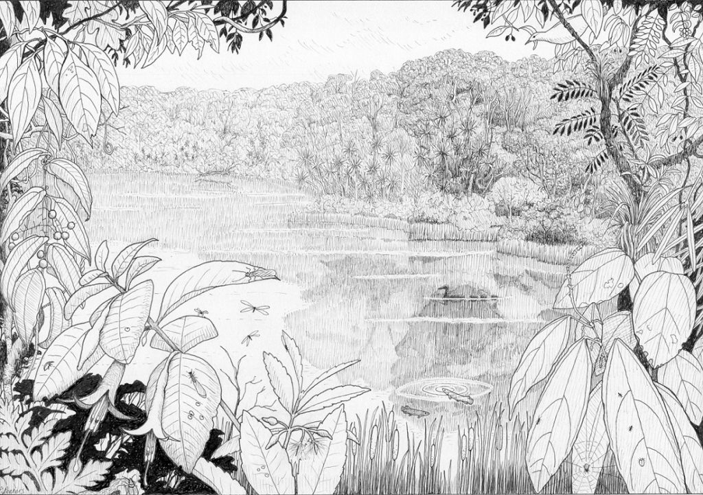 Drawing on Queensland’s present to recreate New Zealand’s past ...