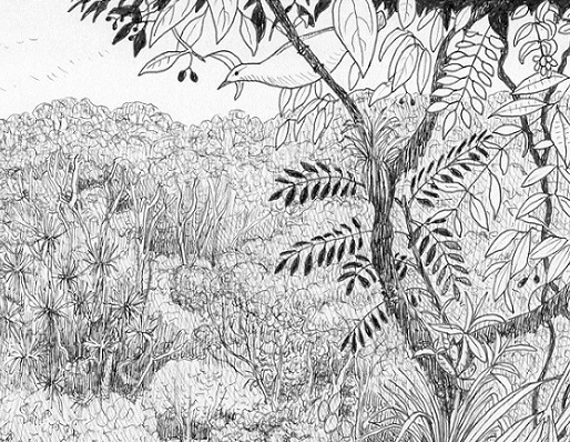 Drawing on Queensland’s present to recreate New Zealand’s past ...