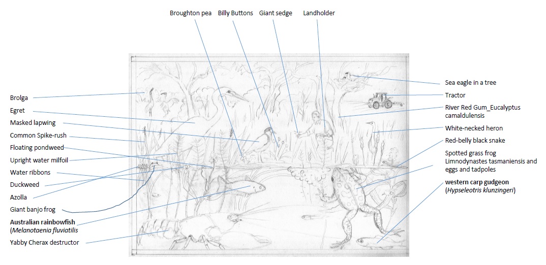 Dipping into the Murray-Darling wetlands | Paperbark Writer