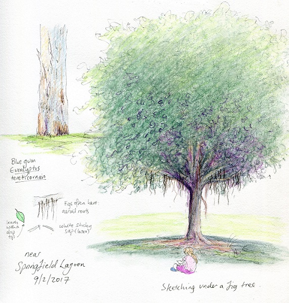 fig tree and girl | Paperbark Writer