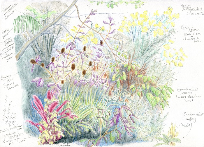 Nature Journaling for Gardeners | Paperbark Writer