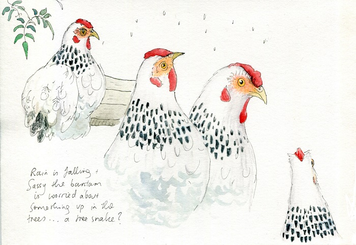 Nature Journaling for Gardeners | Paperbark Writer