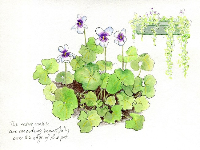 Nature Journaling for Gardeners | Paperbark Writer