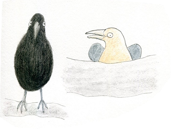 Crow and cuckoo | Paperbark Writer