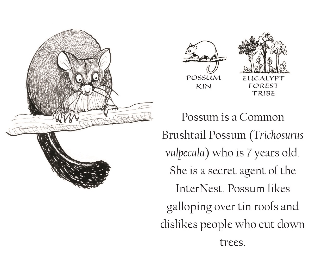 possum profile | Paperbark Writer