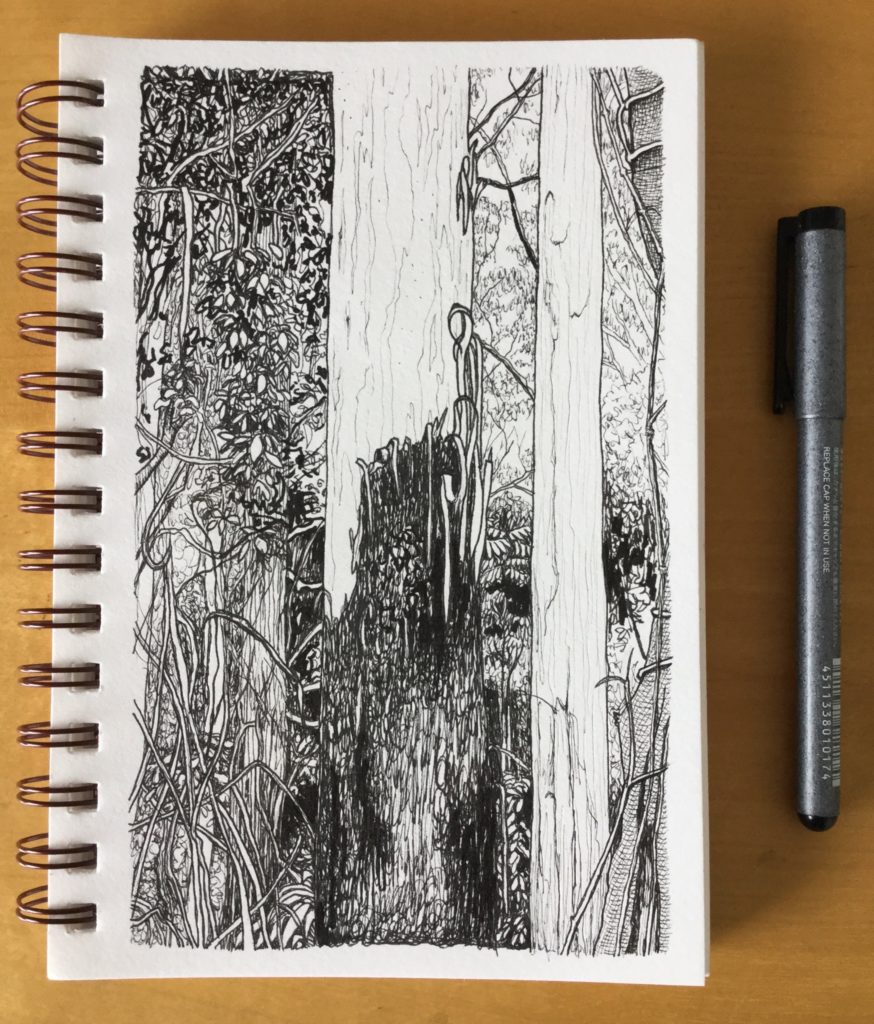 Recent drawings and a new cartoon | Paperbark Writer