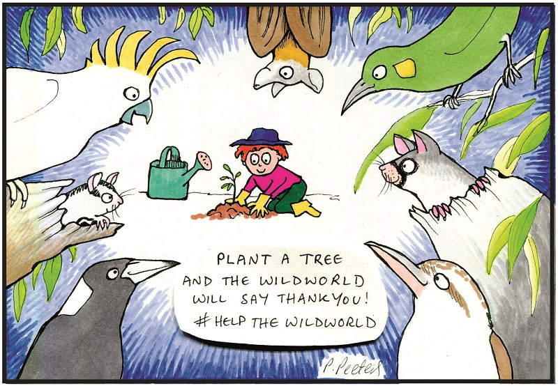 Recent drawings and a new cartoon | Paperbark Writer