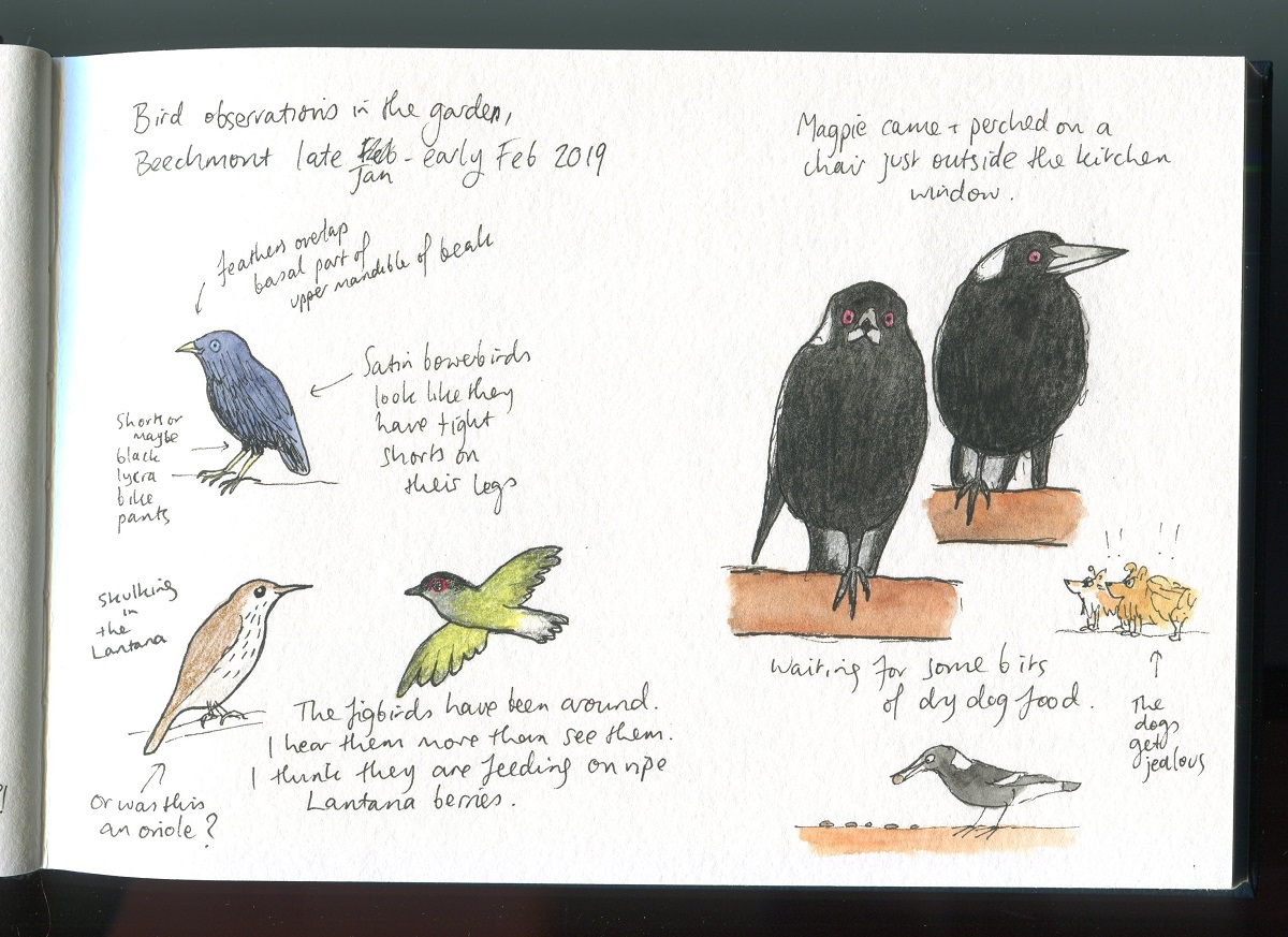 birds jan 2019004small | Paperbark Writer