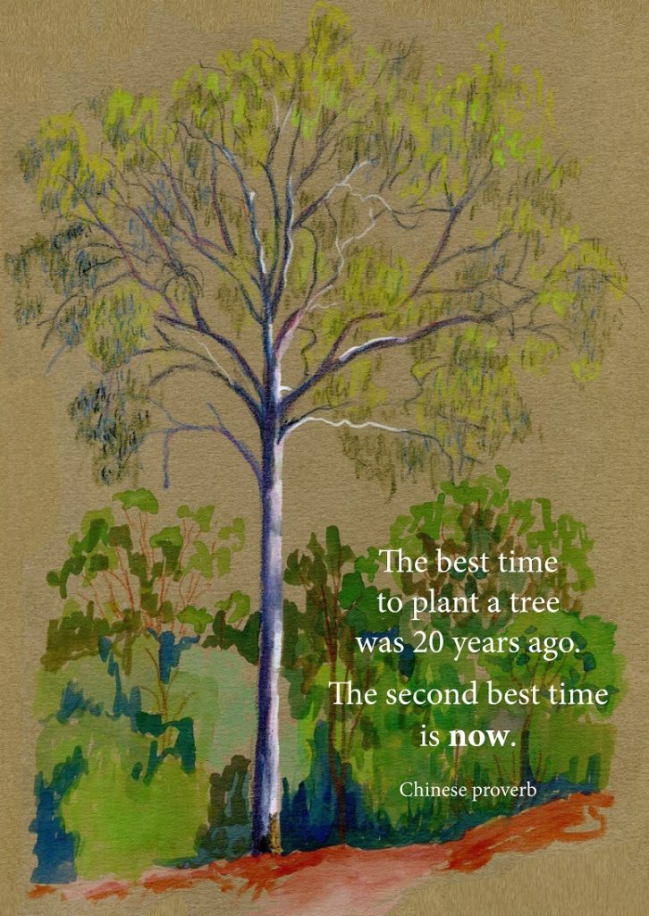 Just a nice tree meme to brighten your day | Paperbark Writer