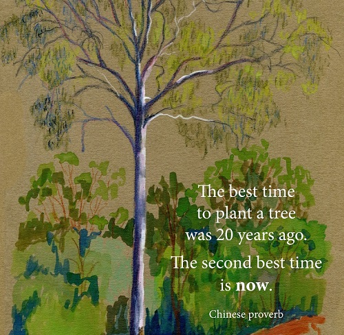 Just a nice tree meme to brighten your day | Paperbark Writer