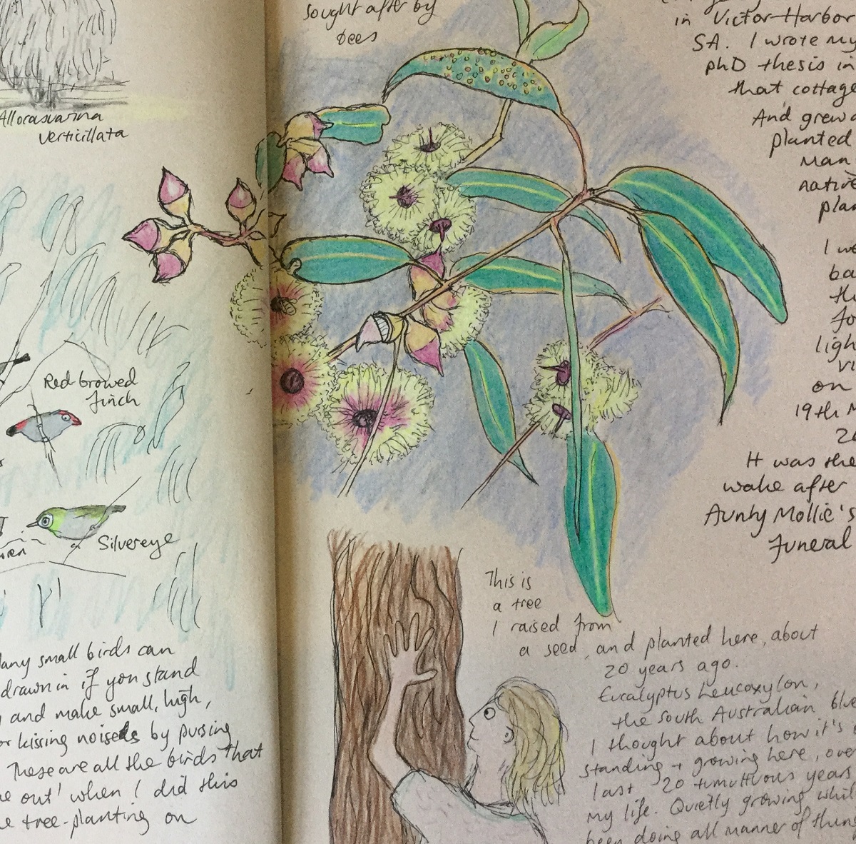 Finding joy and calm | Paperbark Writer