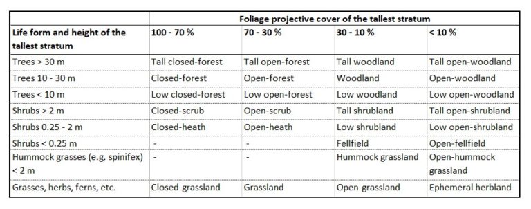 How do you describe a forest? (or woodland, shrubland, grassland ...