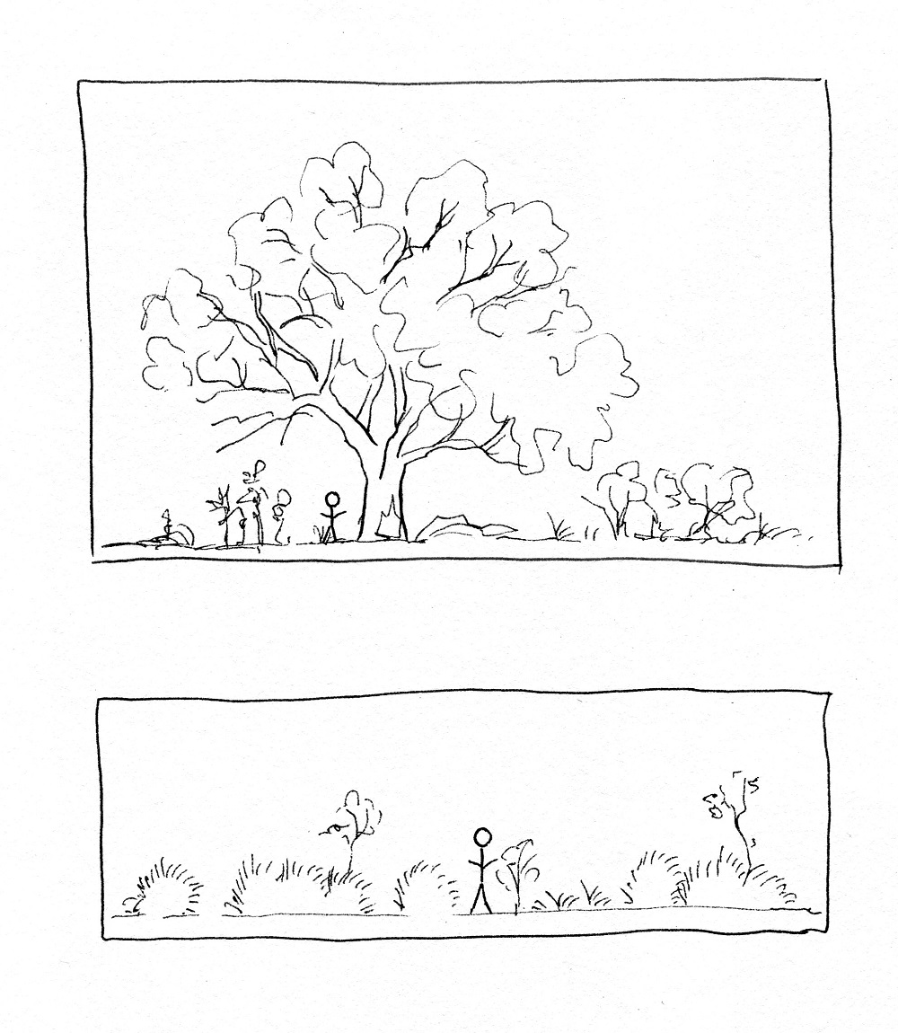 How do you describe a forest? (or woodland, shrubland, grassland ...