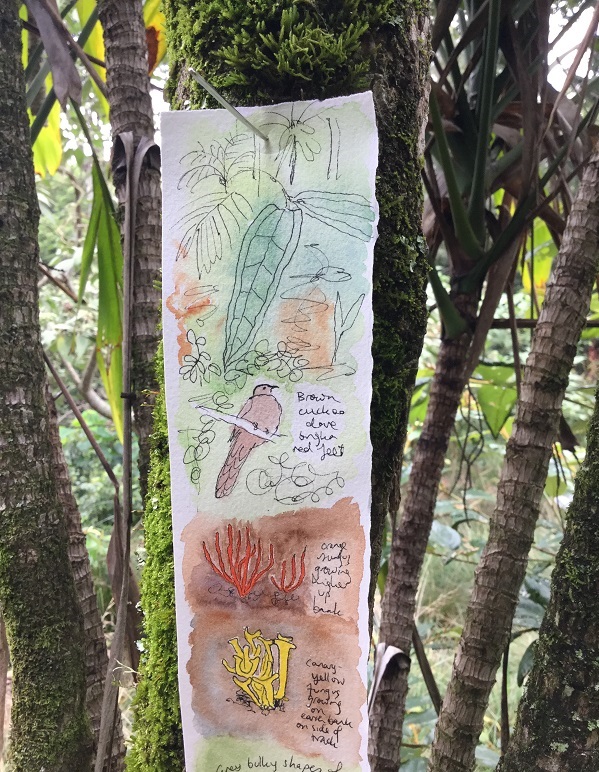 Introducing the nature scroll: a compact, lightweight way to record ...