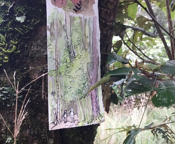 Introducing the nature scroll: a compact, lightweight way to record ...