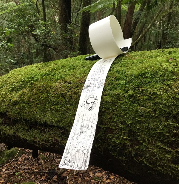 Introducing the nature scroll: a compact, lightweight way to record ...