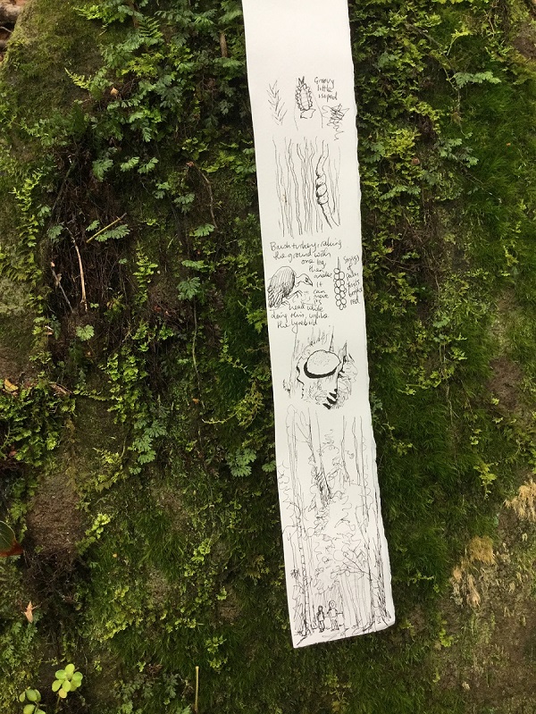 Introducing the nature scroll: a compact, lightweight way to record ...