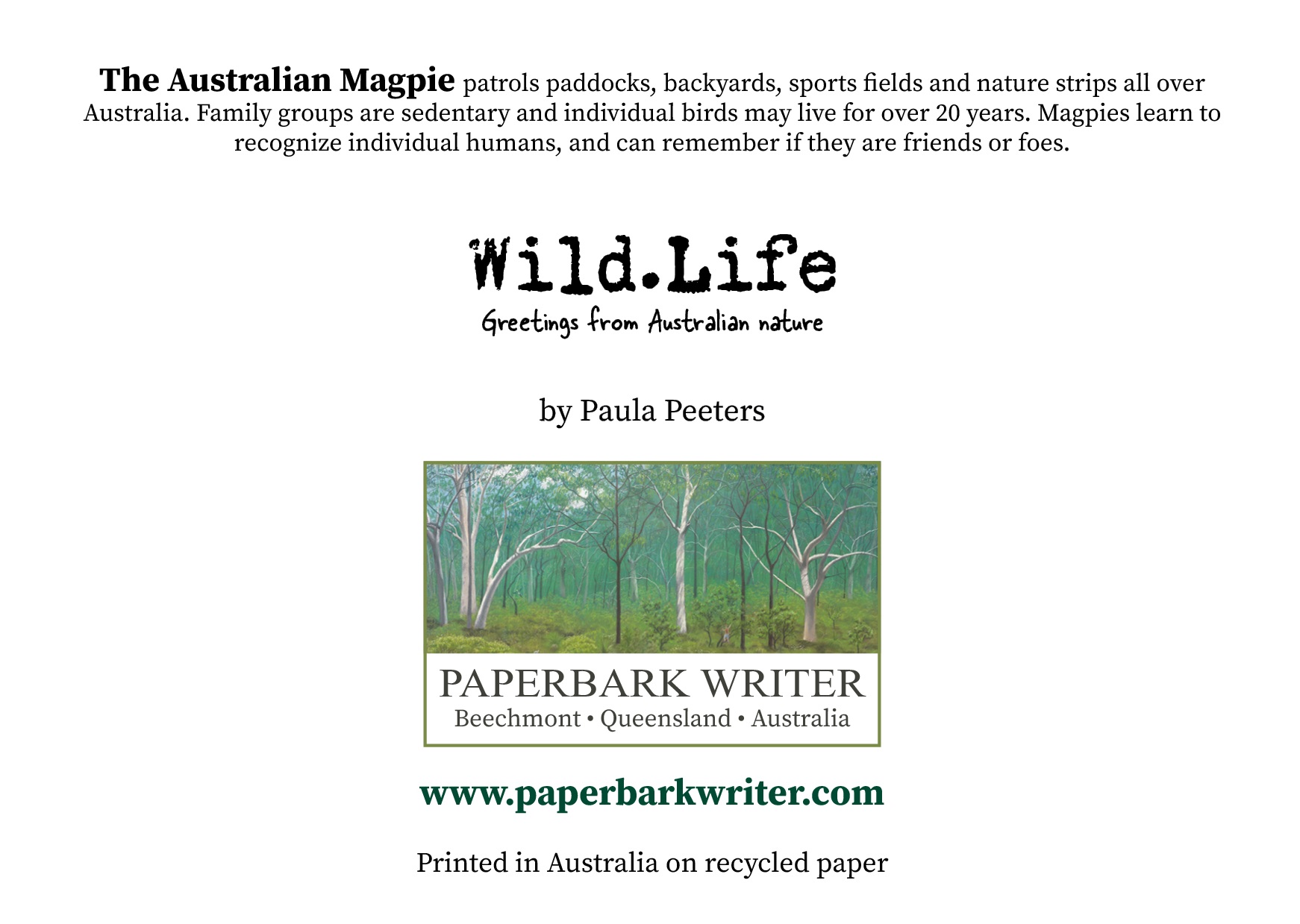 Australian magpie card | Paperbark Writer