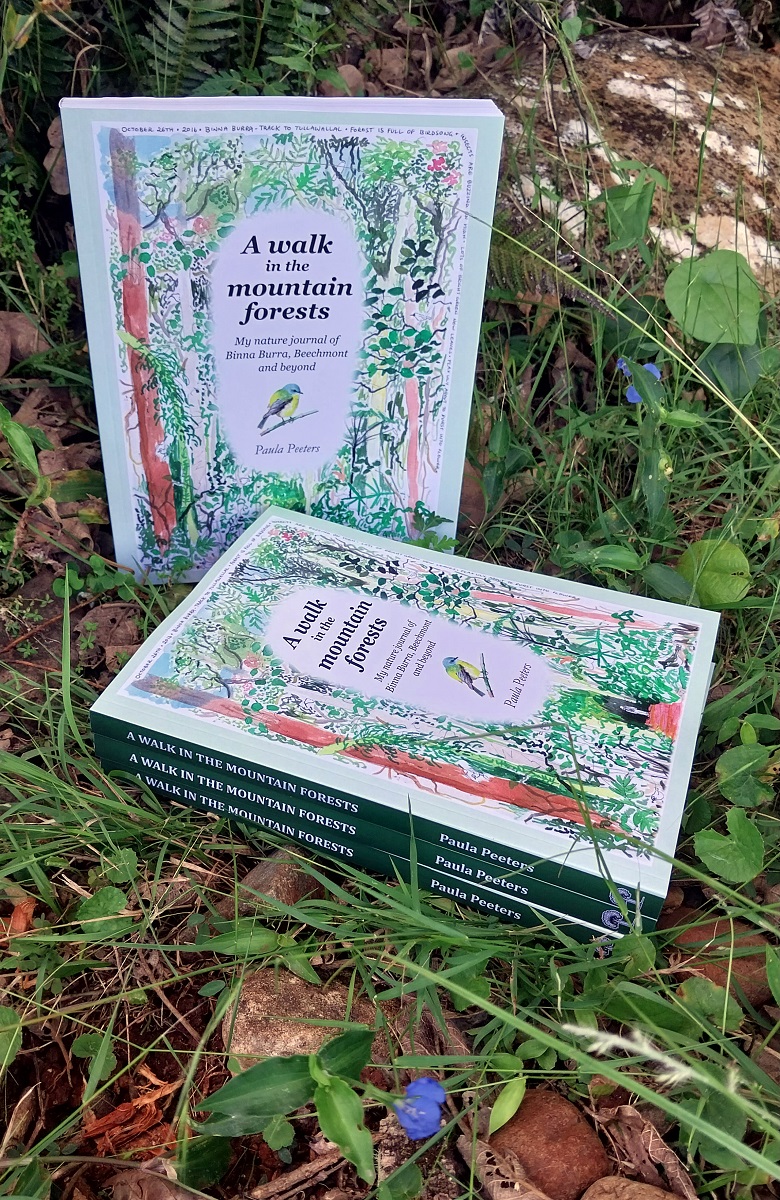 A walk in the mountain forests: My nature journal of Binna Burra ...