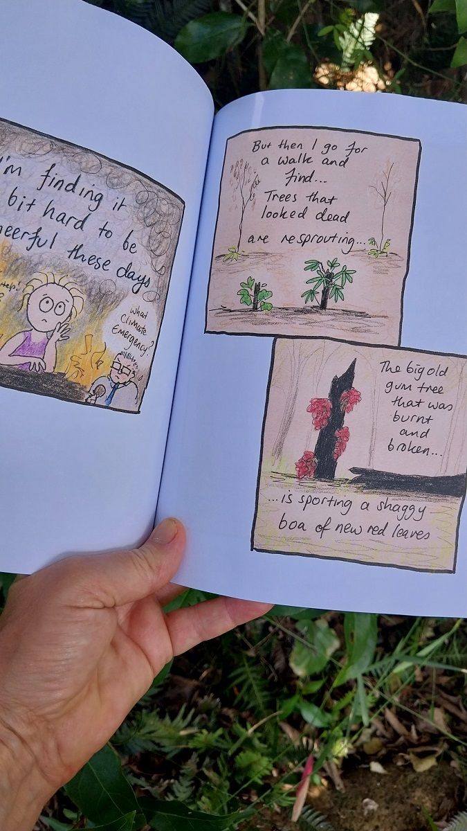 A walk in the mountain forests: My nature journal of Binna Burra ...