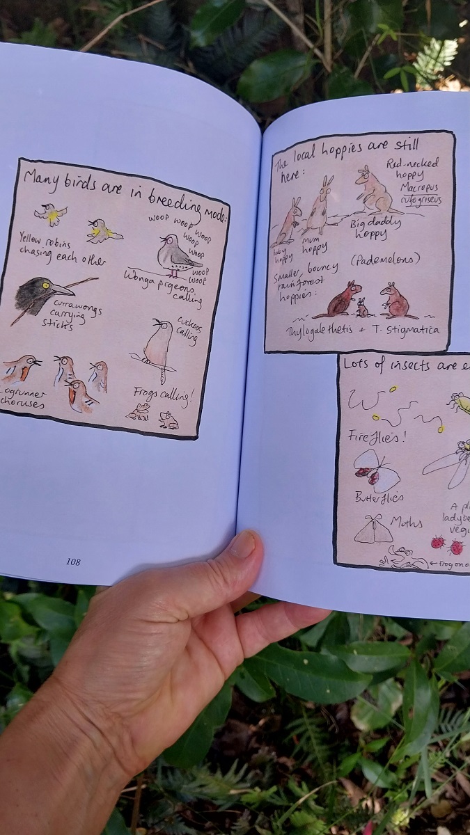 A walk in the mountain forests: My nature journal of Binna Burra ...