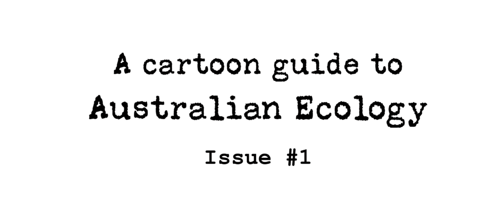 Australian forests and where to find them | Paperbark Writer