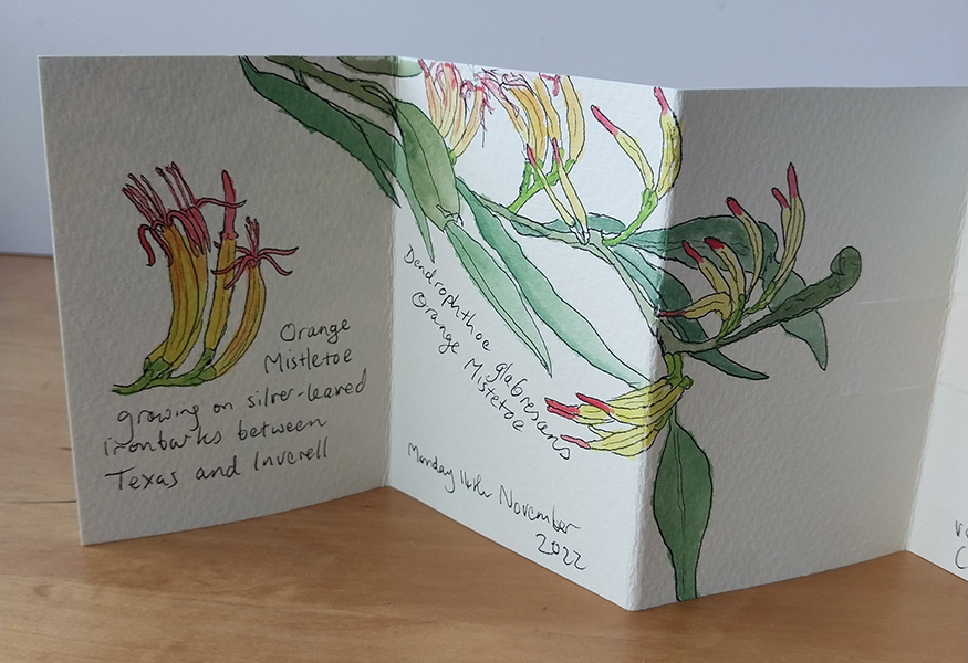 Unleash your creativity with this simple handmade book | Paperbark Writer