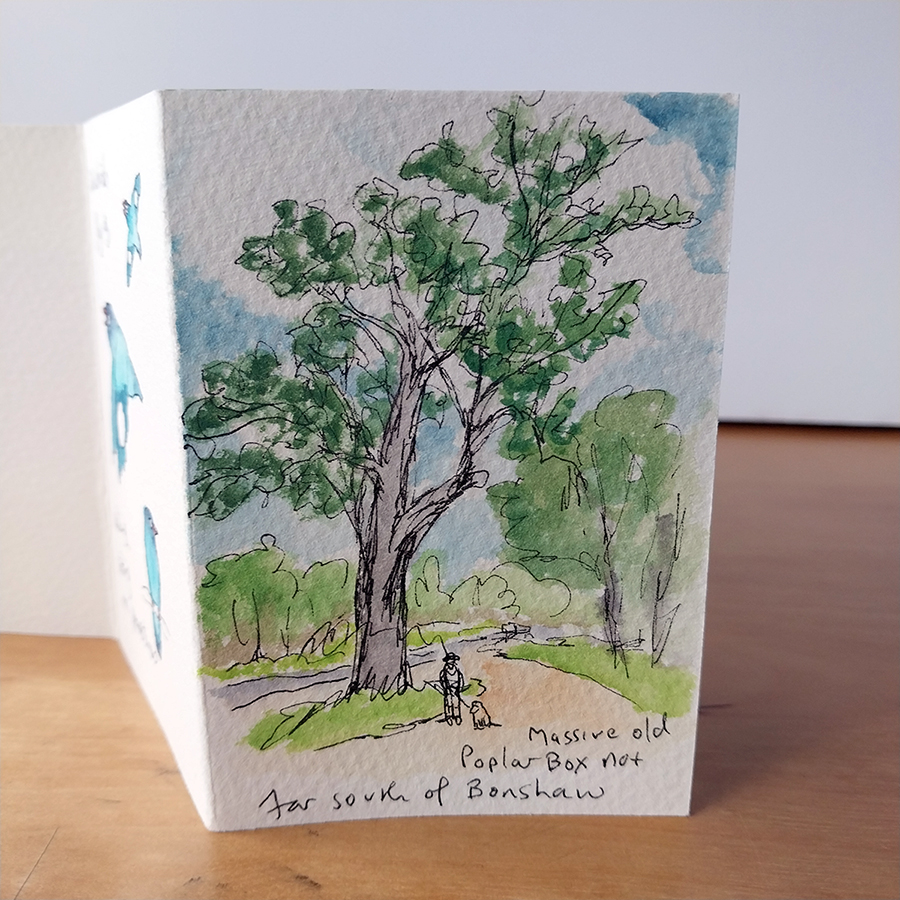 Unleash your creativity with this simple handmade book | Paperbark Writer