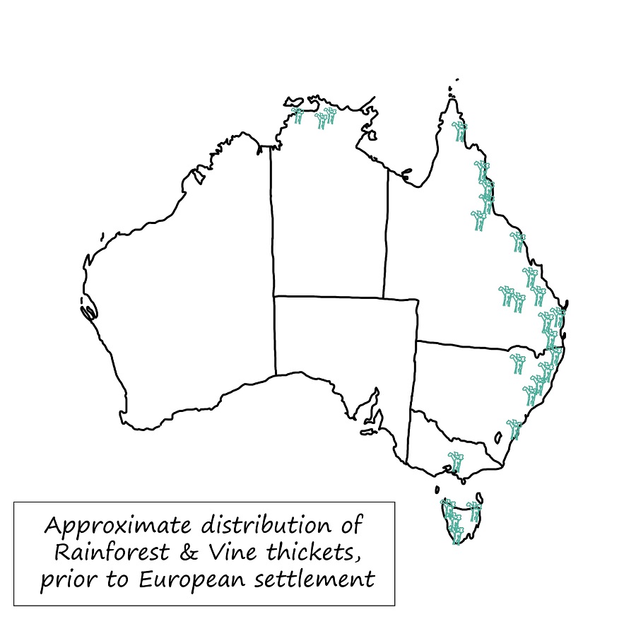 Australian forests and where to find them | Paperbark Writer