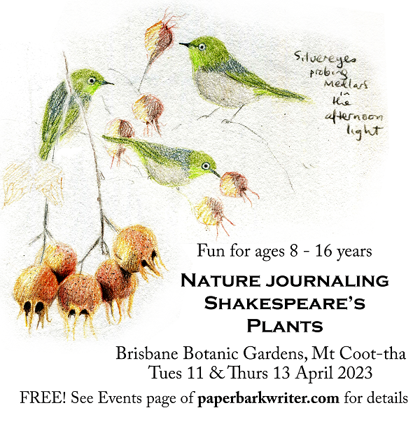 Nature journaling Shakespeare’s plants | Paperbark Writer