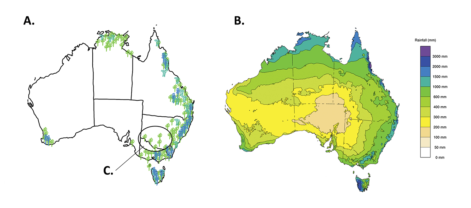 pre clear euc cartoon and rf forest vs rainfall small | Paperbark Writer