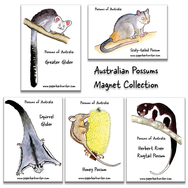 Australian Possums fridge magnet collection | Paperbark Writer