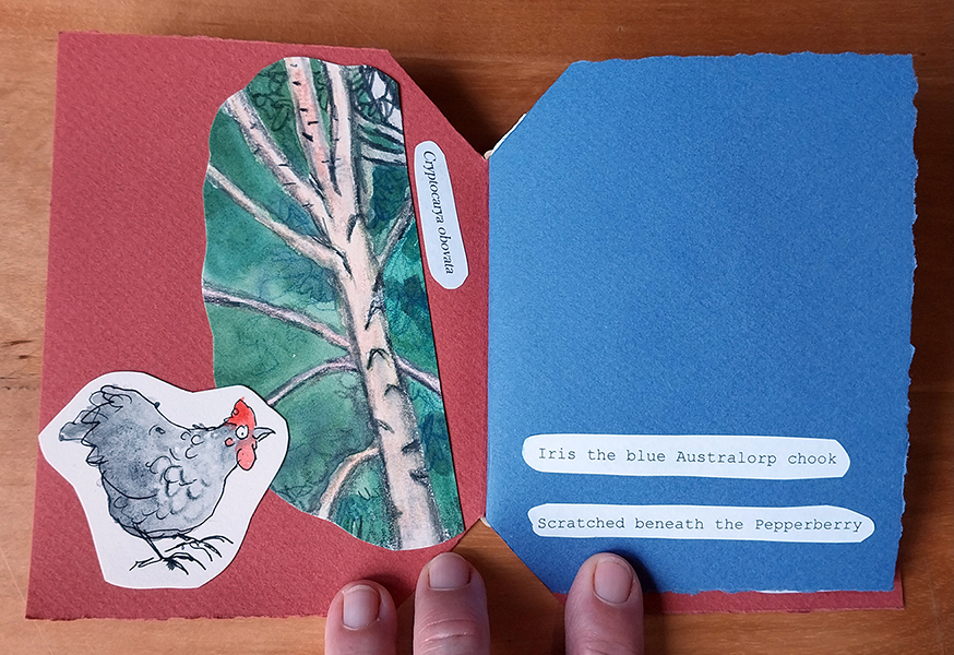 A super-easy mini-book for exploring nature | Paperbark Writer
