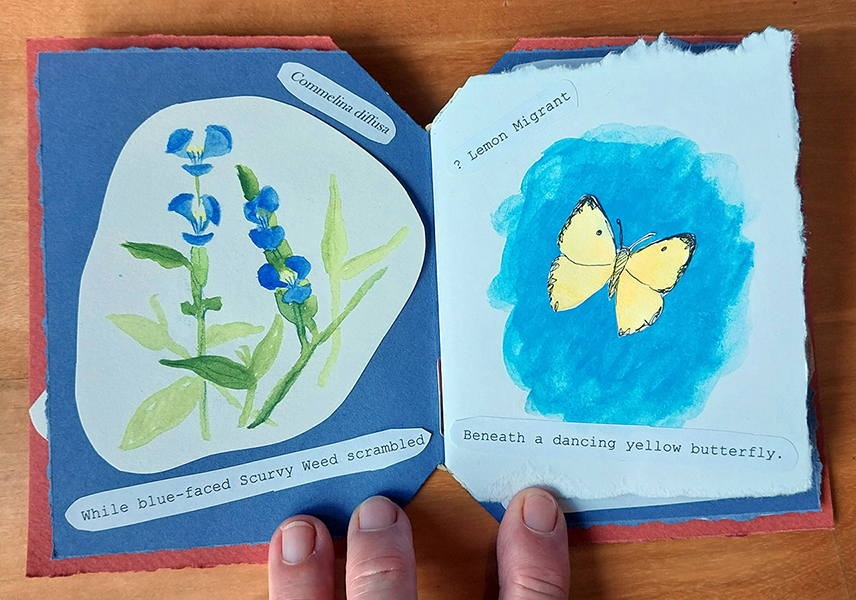 A super-easy mini-book for exploring nature | Paperbark Writer