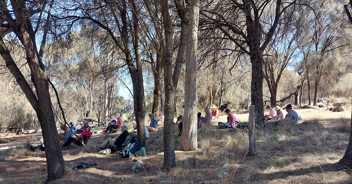 Paperbark Writer | Australian nature meets science & art. By Paula Peeters