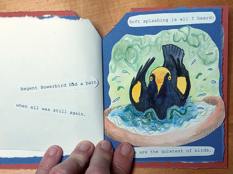 A super-easy mini-book for exploring nature | Paperbark Writer