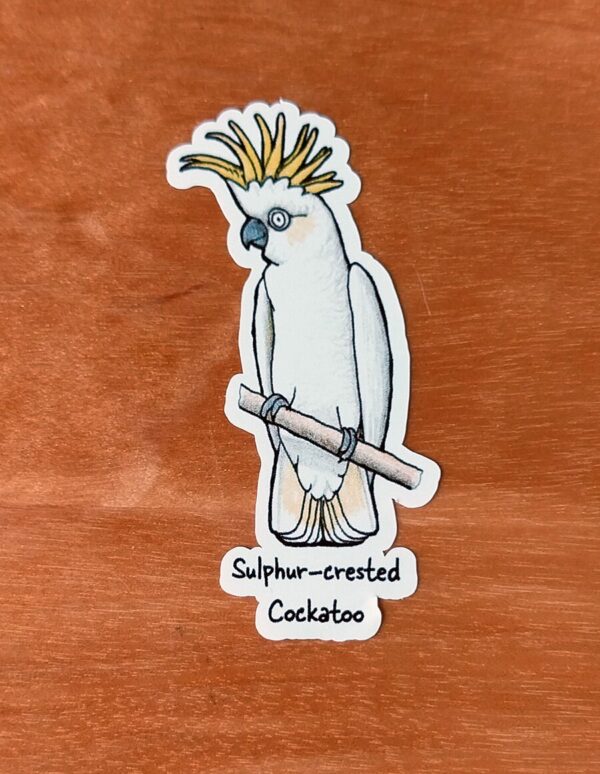 Cockatoos of Australia sticker sheet | Paperbark Writer