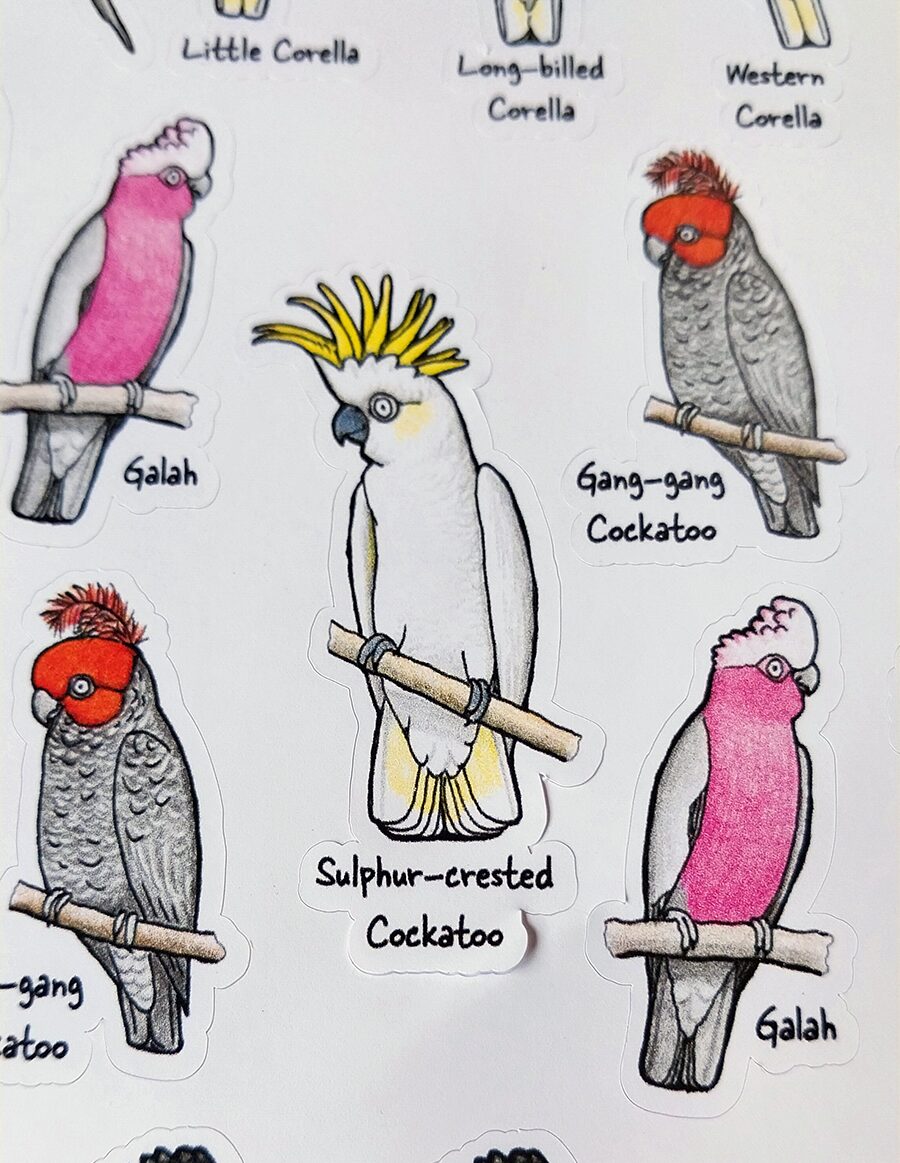 Gorgeous, fun & educational: New sticker sheets | Paperbark Writer