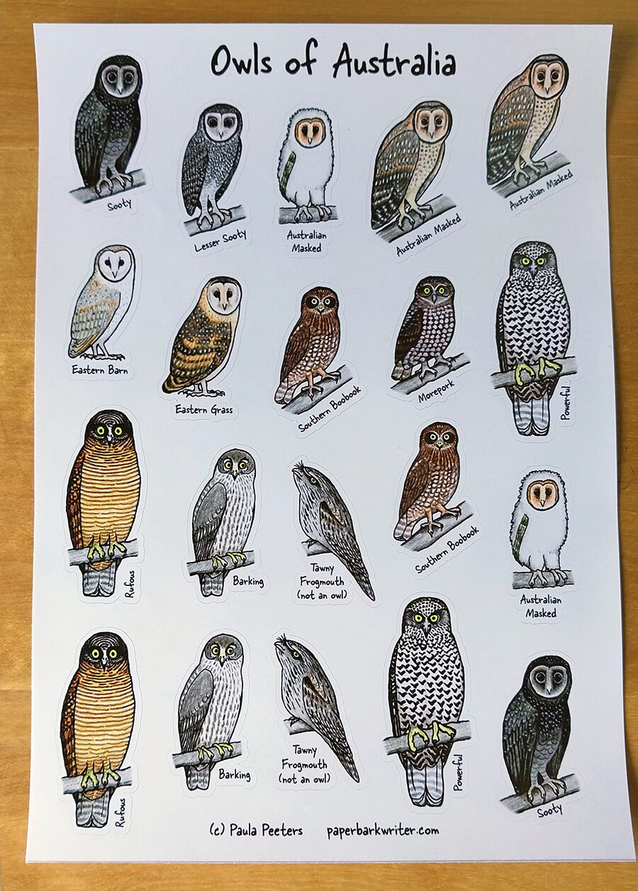 Owls of Australia sticker sheet | Paperbark Writer
