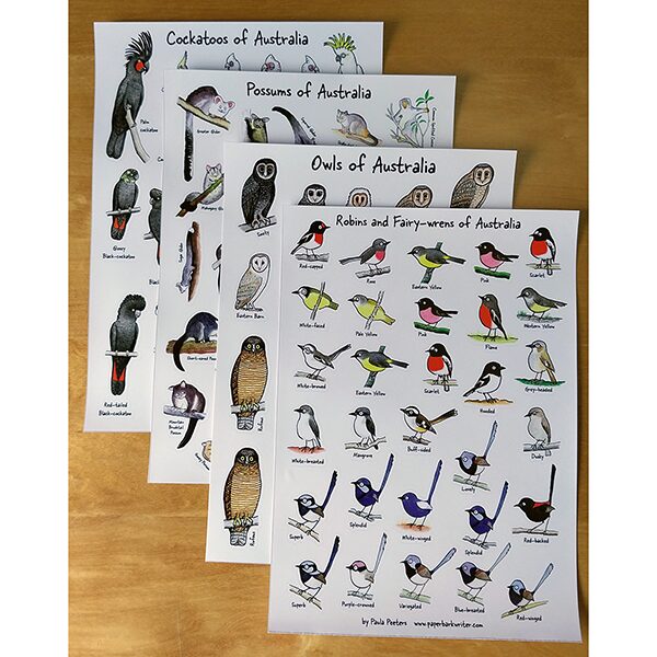 Gorgeous, fun & educational: New sticker sheets | Paperbark Writer