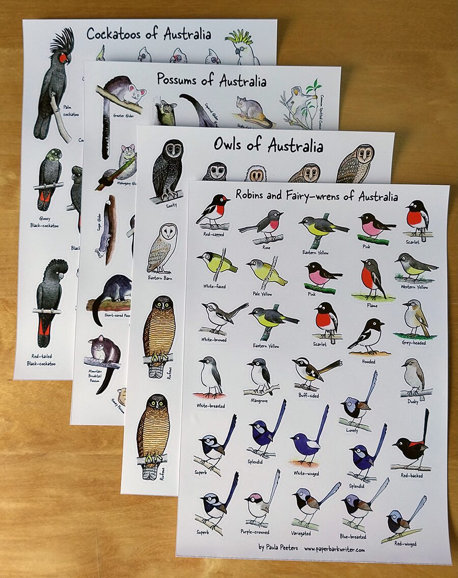 sticker sheets crop | Paperbark Writer