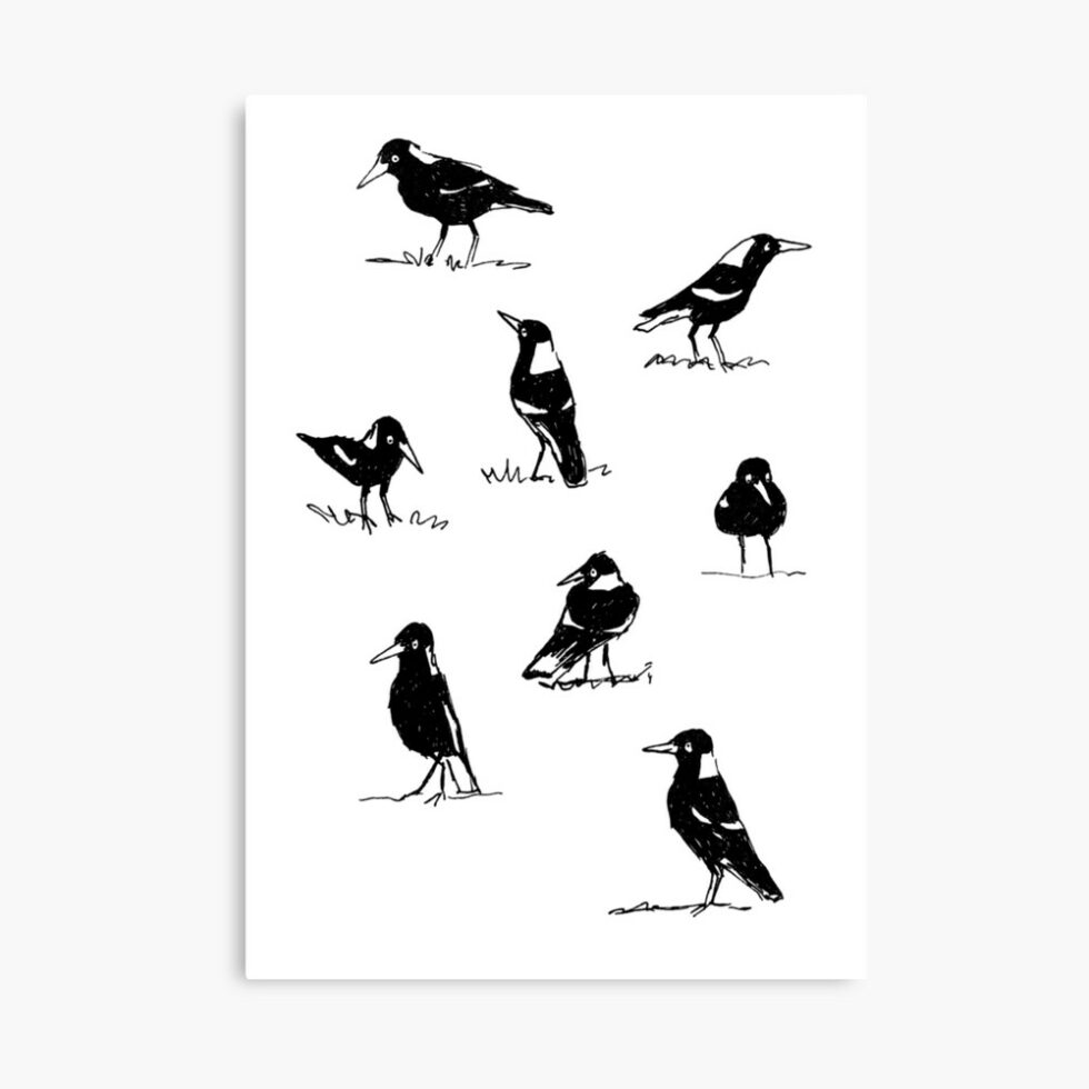 New designs: Magpie Studies and Australian Kin | Paperbark Writer